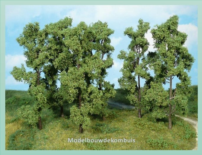 6 Elzenbomen - Modelbouwdekombuis